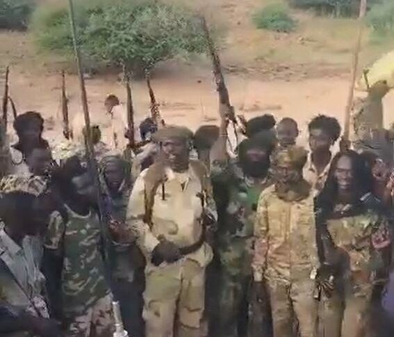 Sudan joint force, RSF clash in North Darfur - Sudan Tribune