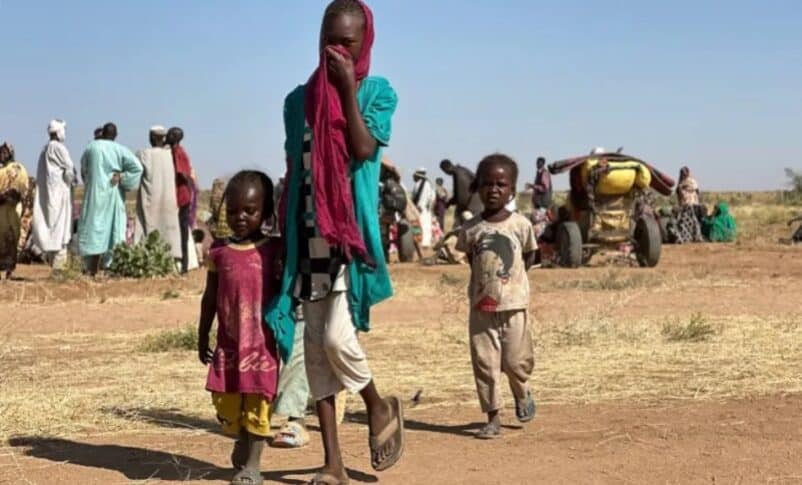 Famine declared in El Fasher, Kadugli as UN reports summary executions ...